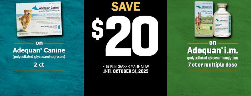 Pet Supplies | Valley Vet