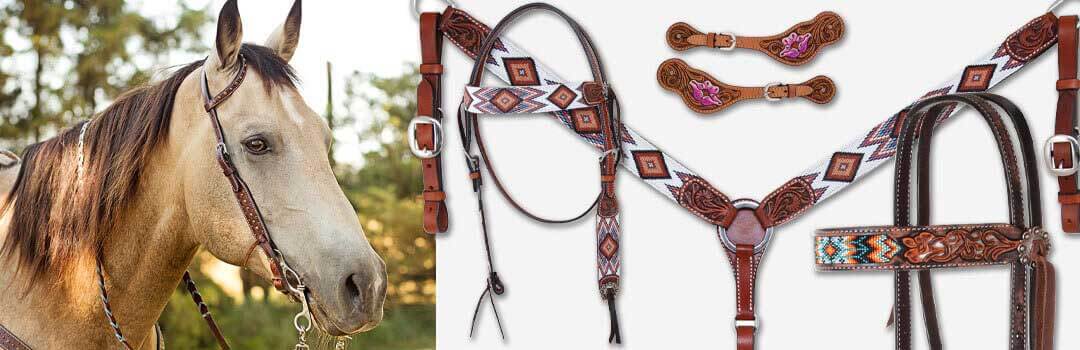 New Tack - Stand Out In The Show Ring! - ValleyVet.com