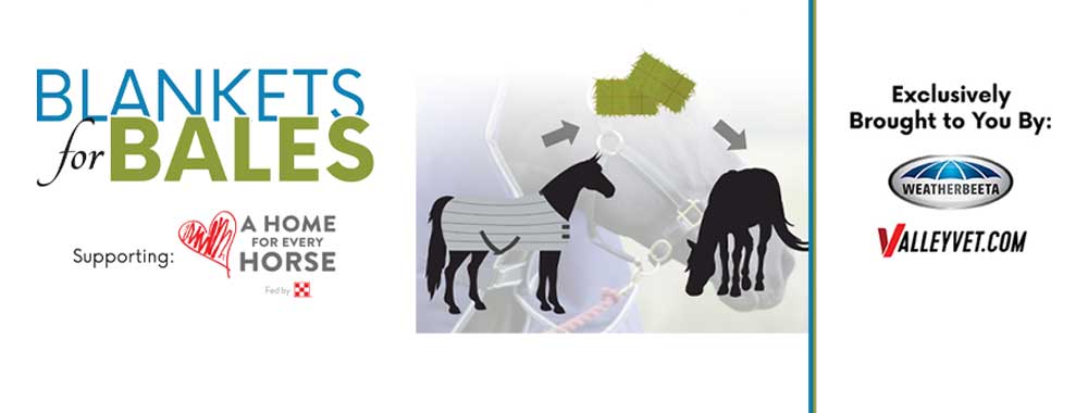 Horse Supplies, Pet Supplies, Farm Supplies, Goat Supplies - Valley Vet ...