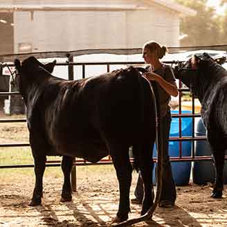 Valley Vet - Show & Grooming Supplies Catalog