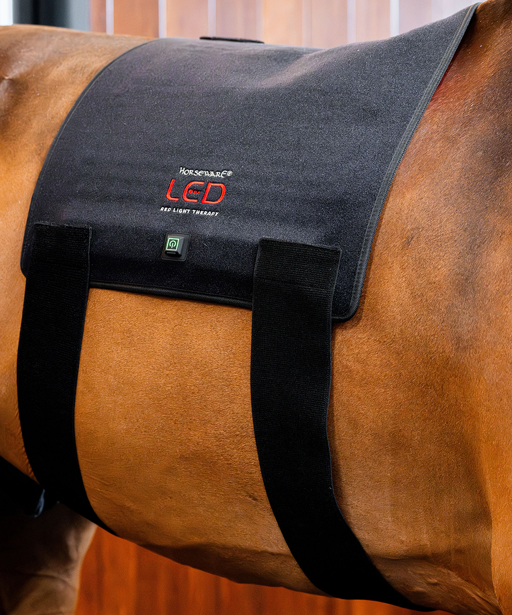 Valley Vet - LED Red Light Therapy Pad for Horses Horseware Ireland ...
