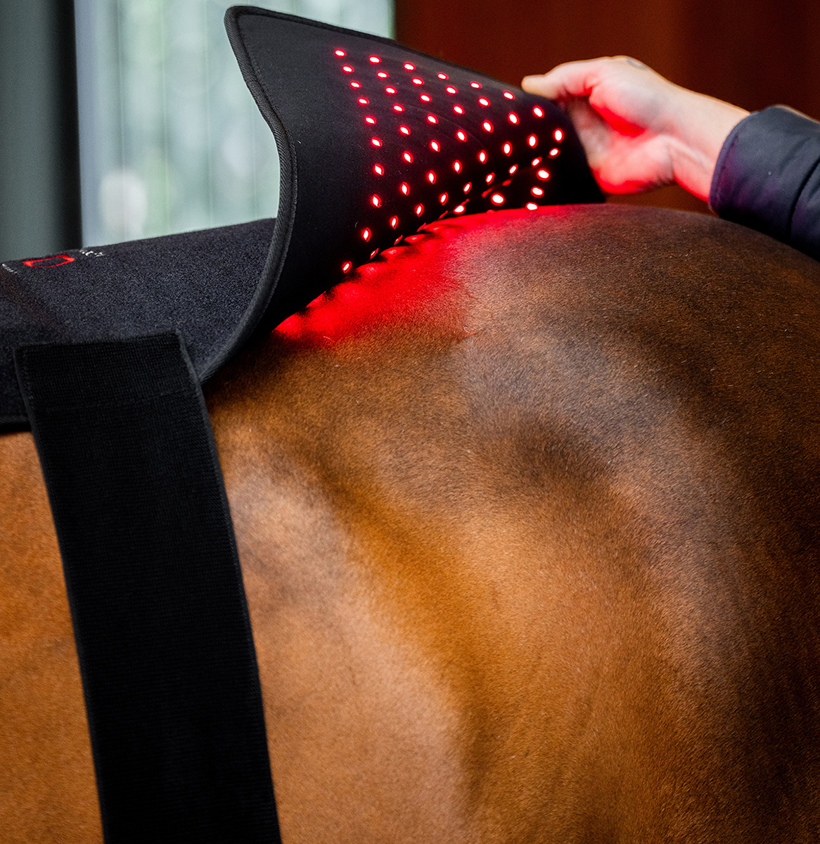 Valley Vet - LED Red Light Therapy Pad for Horses Horseware Ireland ...