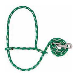 Poly Rope Sheep Halter w/Snap Weaver Leather ( - Showing Grooming ...