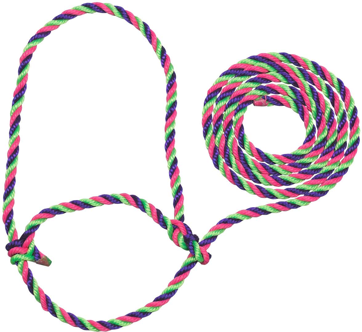 Cattle Poly Halters Weaver Livestock - Halters Leads | Show Cattle ...