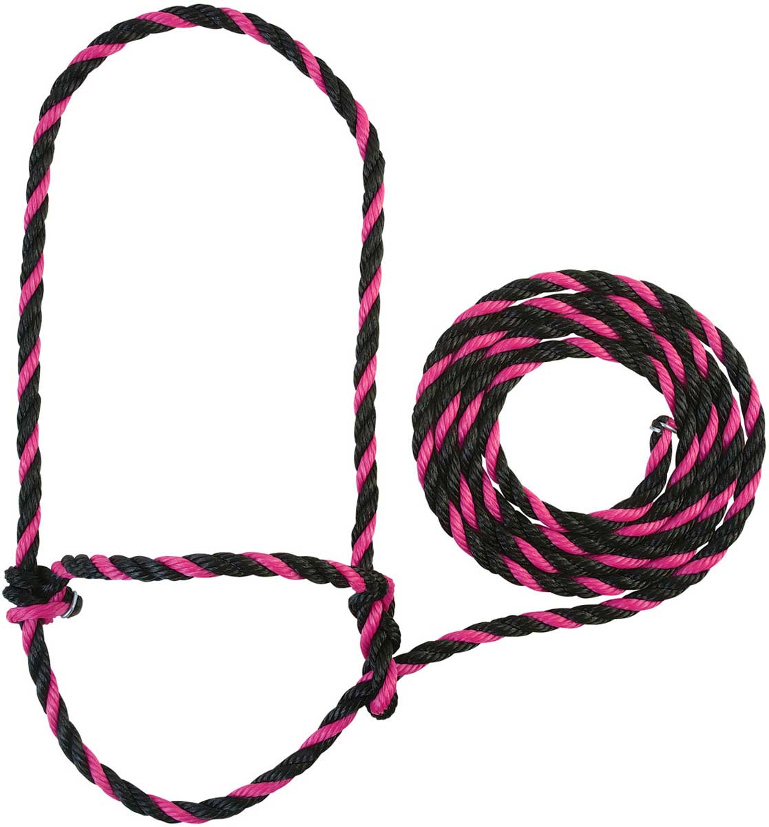 Cattle Poly Halters Weaver Livestock - Halters Leads | Show Cattle ...