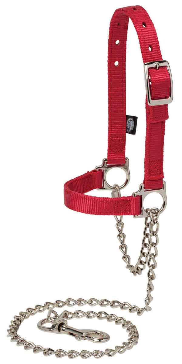 Nylon Sheep Halter Lead Weaver Livestock - Halters Leads | Farm