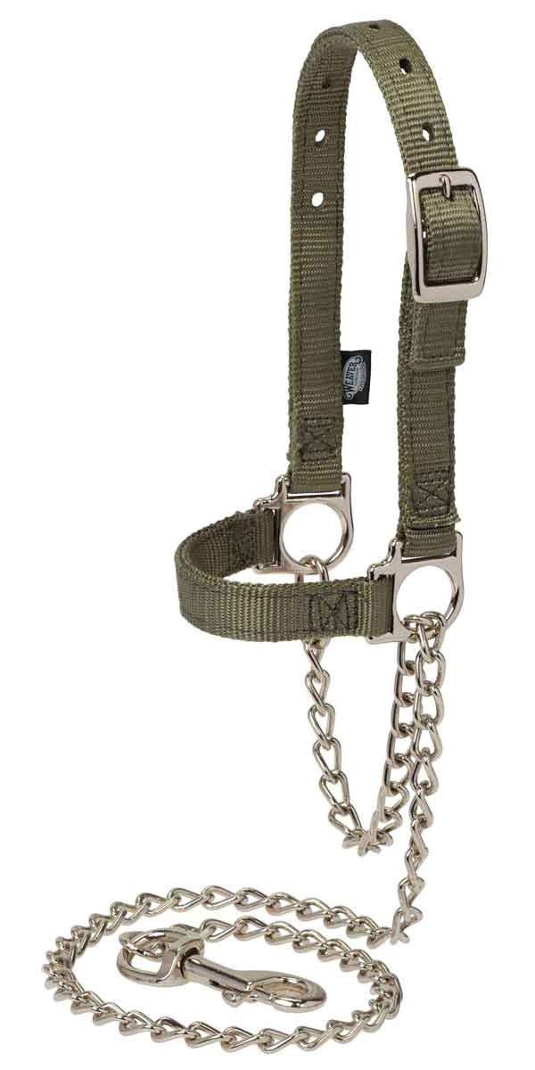 Nylon Sheep Halter Lead Weaver Livestock - Halters Leads | Farm