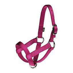 Nylon Goat Halter Weaver Livestock - Halters, Collars Leads | Show Goat ...