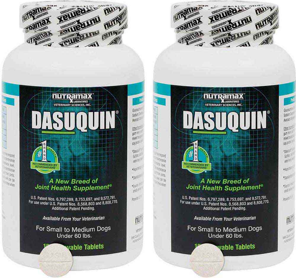 Dasuquin Chewable Tablets for Dogs Nutramax Laboratories - Joint | Pet ...