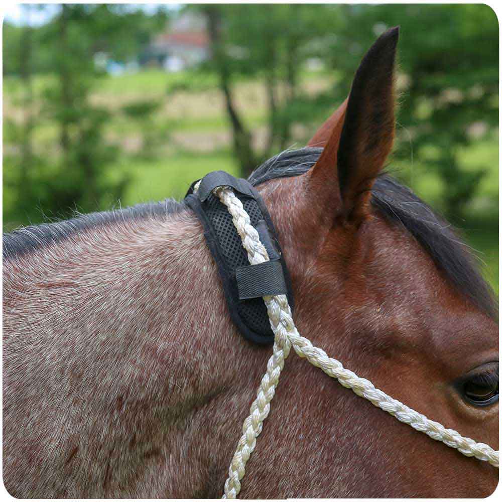 Smart Therapeutic Poll Pad Benefab Therapy Health Equine smart-therapeutic-poll-pad-benefab-therapy-health-equine