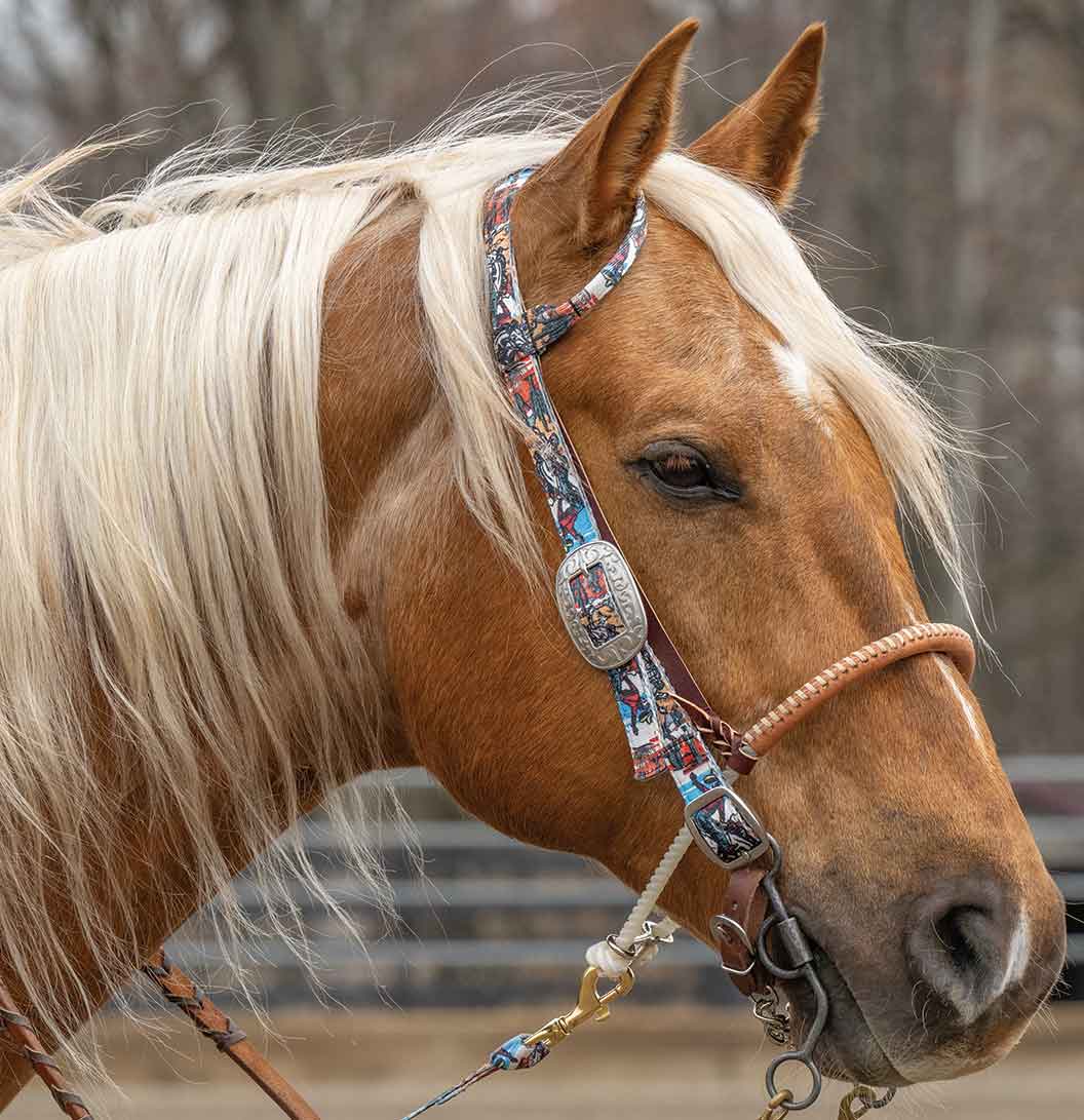 Valley Vet - Poly Sliding Ear Horse Headstall Weaver Leather ...