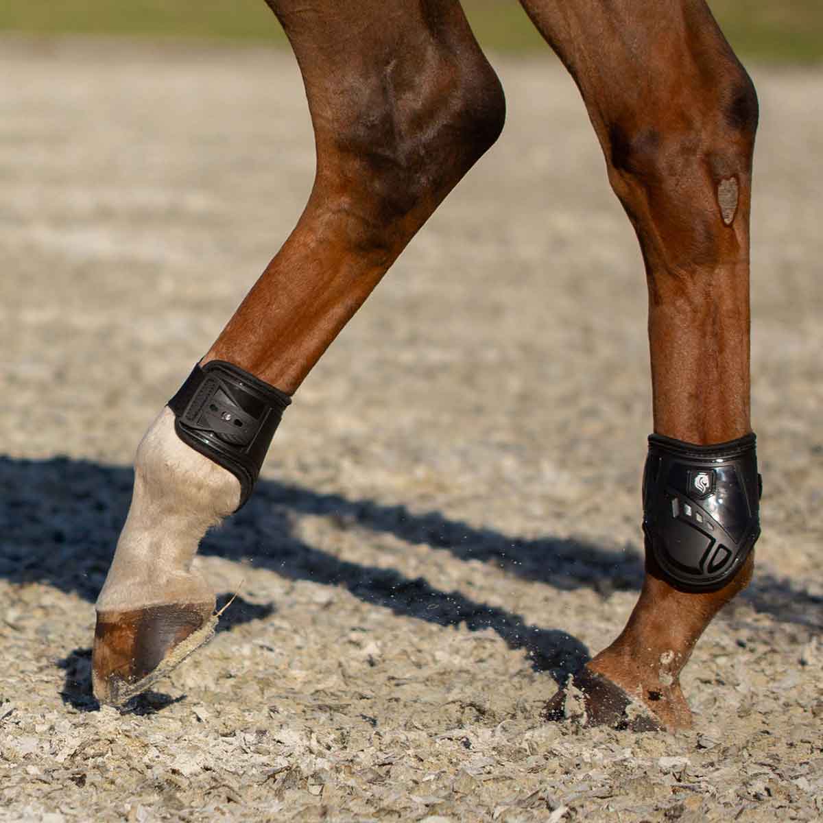 Valley Vet - Asgardian Ankle Horse Boots Equinavia - Support Boots ...