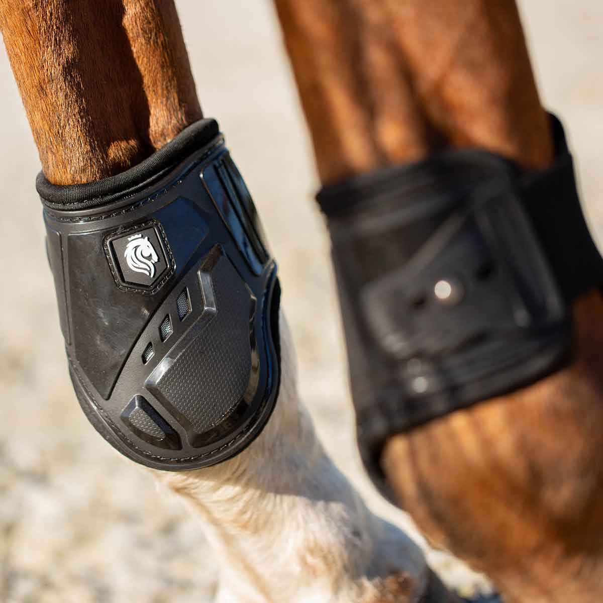 Valley Vet - Asgardian Ankle Horse Boots Equinavia - Support Boots ...