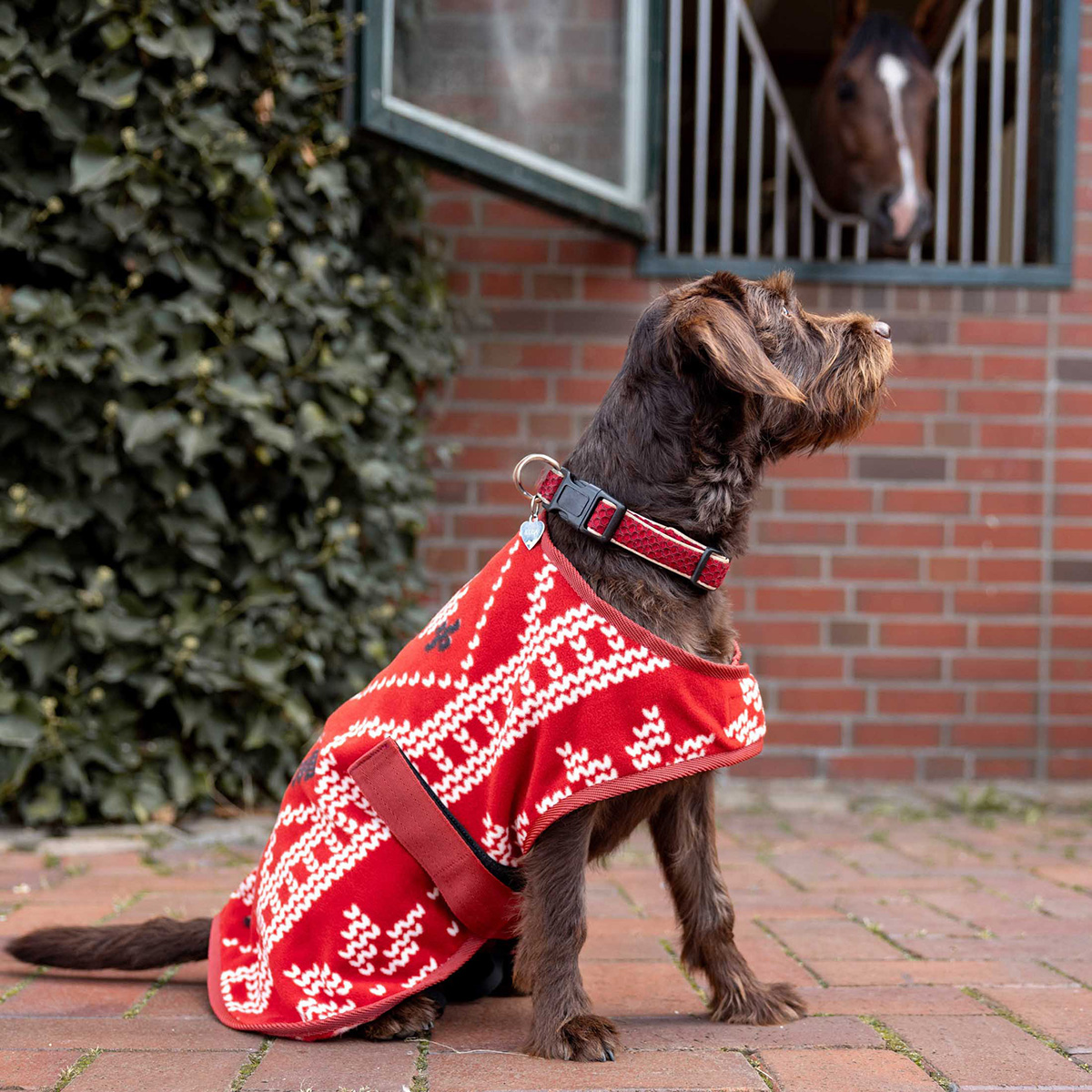 Valley Vet - Horze Santa Fleece Dog Coat Equinavia - Holiday Horsewear ...