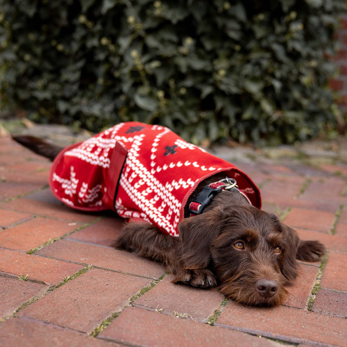 Valley Vet - Horze Santa Fleece Dog Coat Equinavia - Holiday Horsewear ...