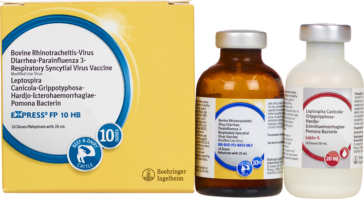 Express FP 10 HB Injection for Cattle Boehringer Ingelheim - Valley Vet ...