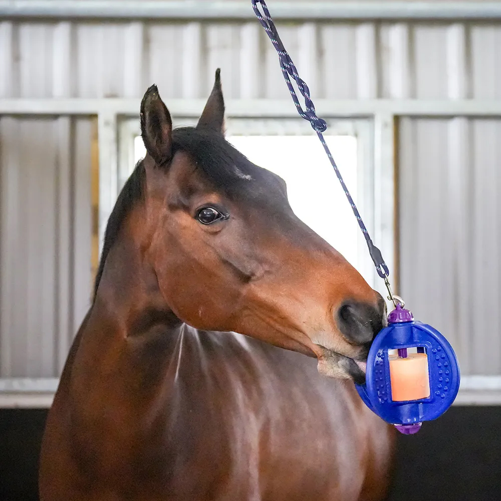 Valley Vet - Likit Bizzy Ball Likit - Horse Toys | Stable Equipment ...