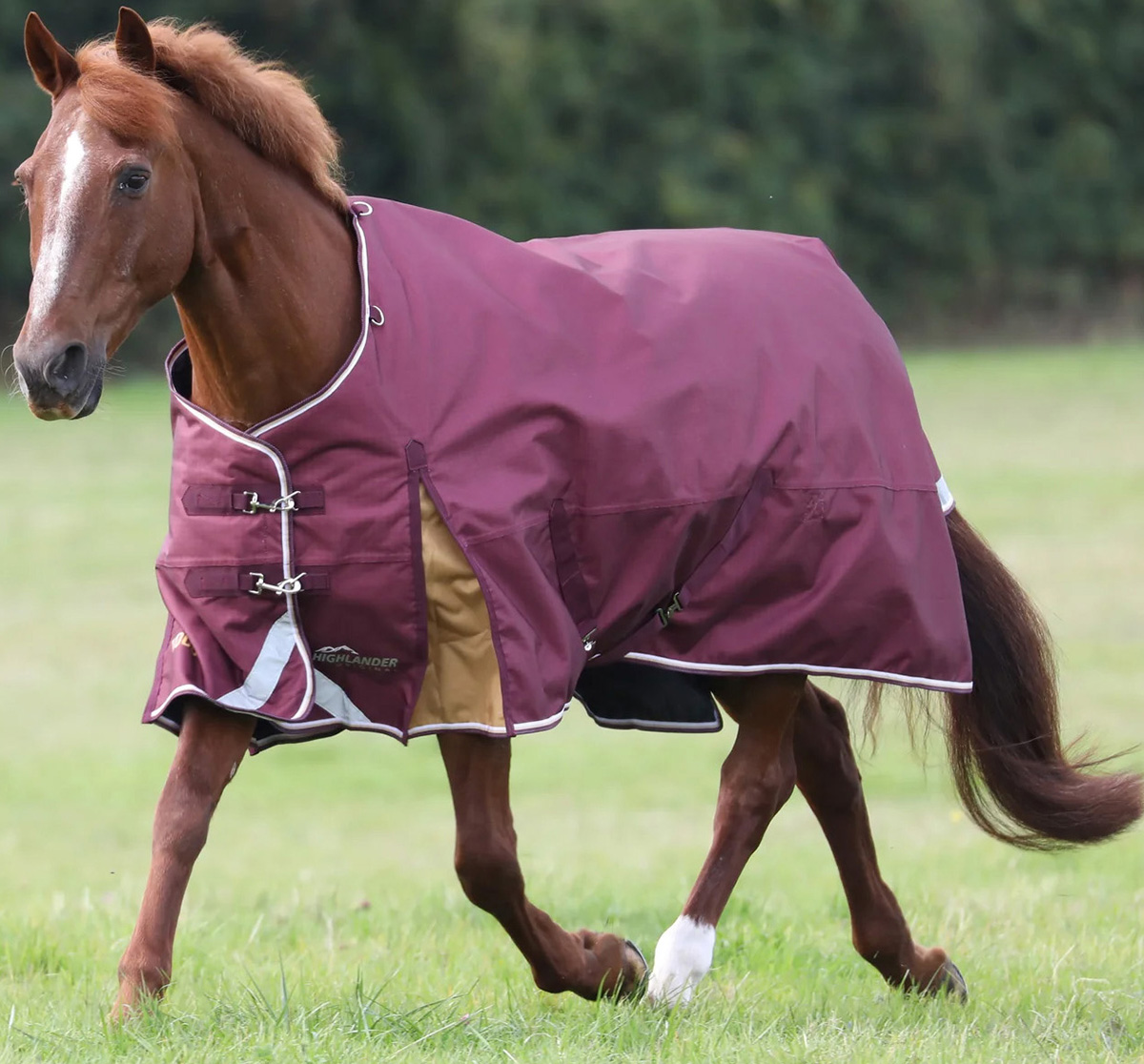 Valley Vet - Highlander Plus 100 Standard Neck Horse Blanket Shires ...