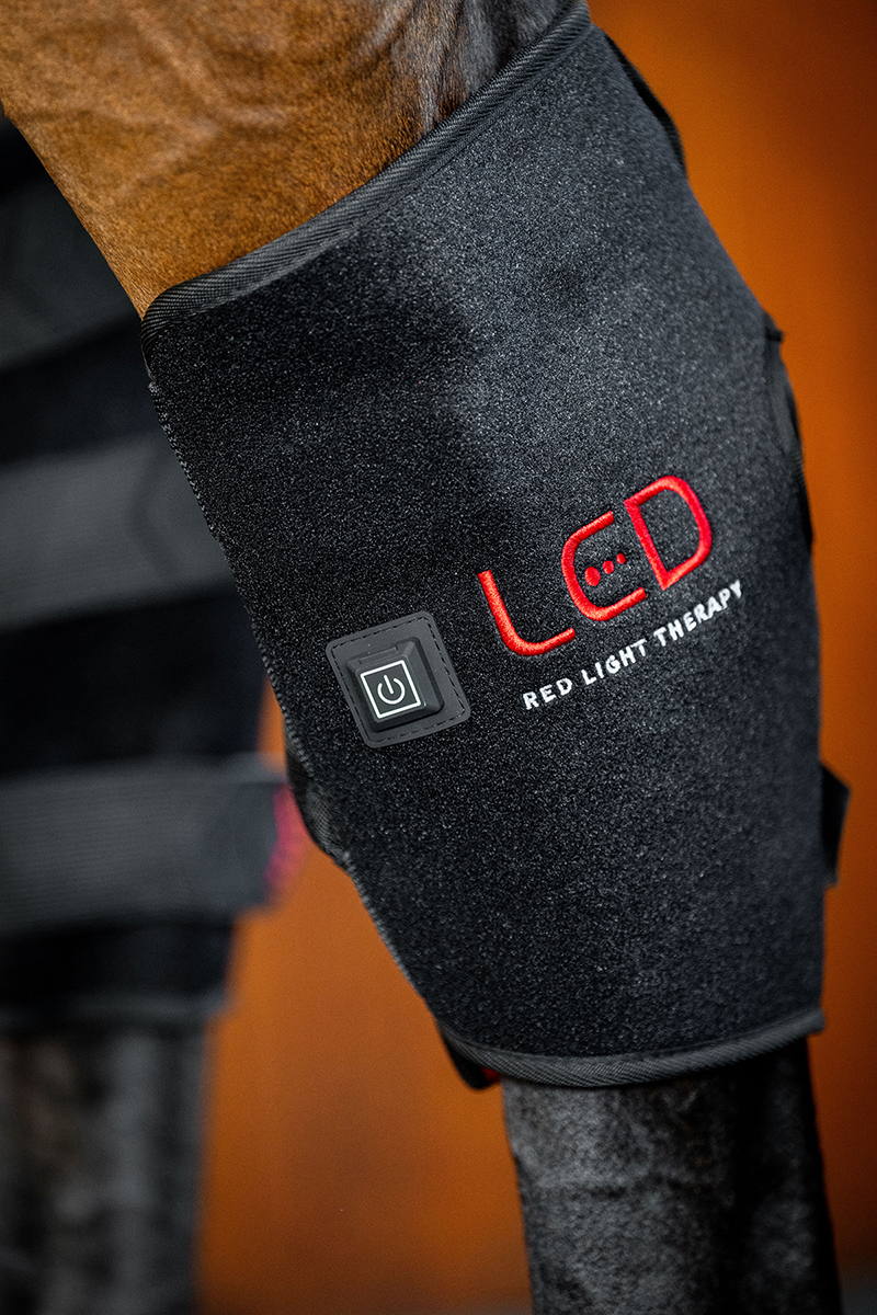 LED Red Light Therapy Full Hock Boot Horseware Ireland - Valley Vet ...