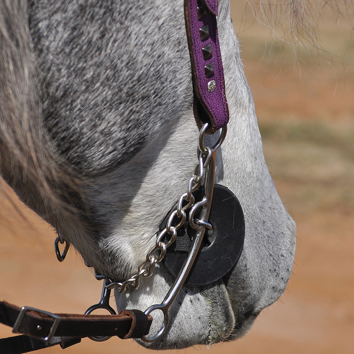 Valley Vet - Bit Guards Cashel - Curb Chains | Bits | Supplies Tack | Equine