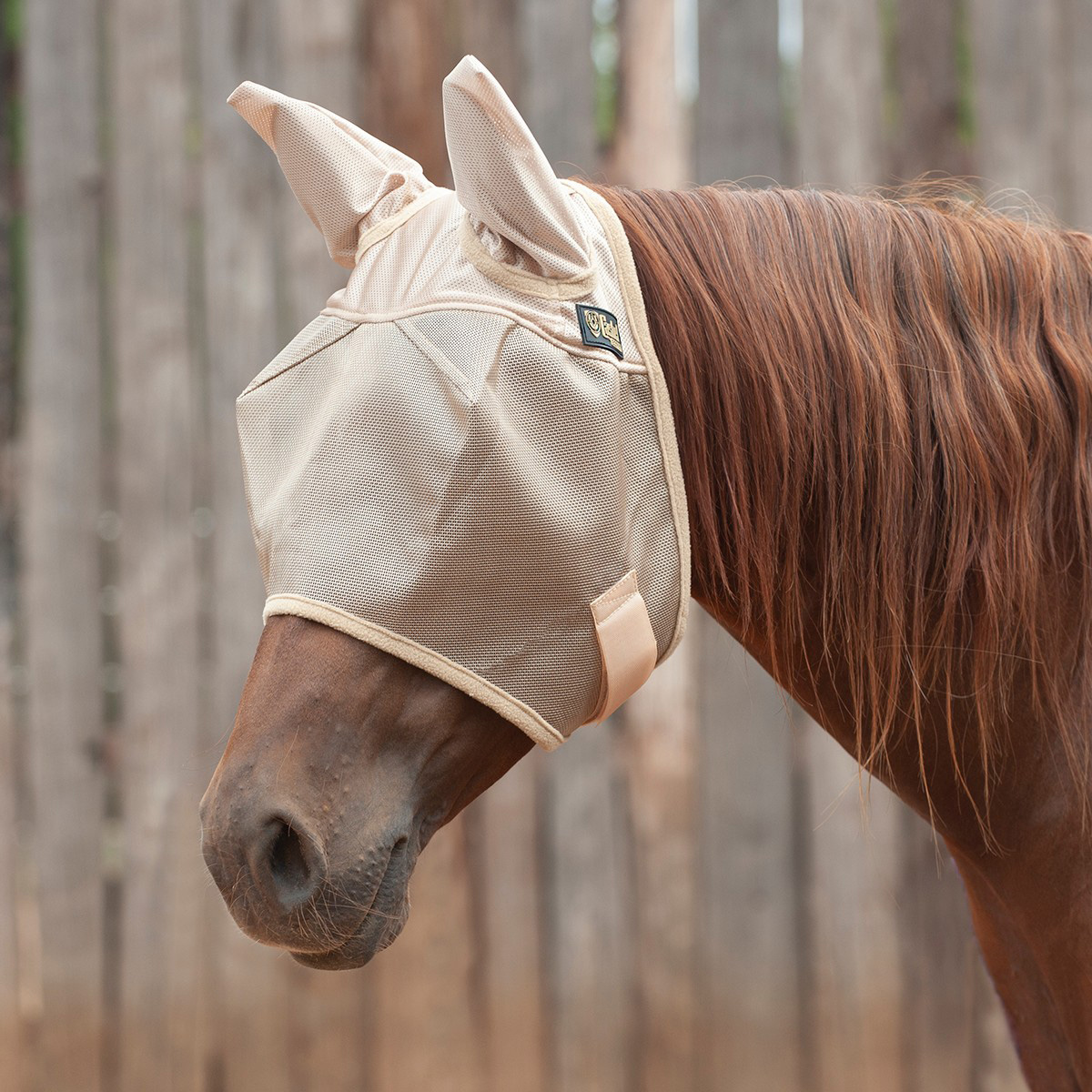 Valley Vet - Econo Crusader Horse Fly Mask with Ears Cashel - Fly Masks ...