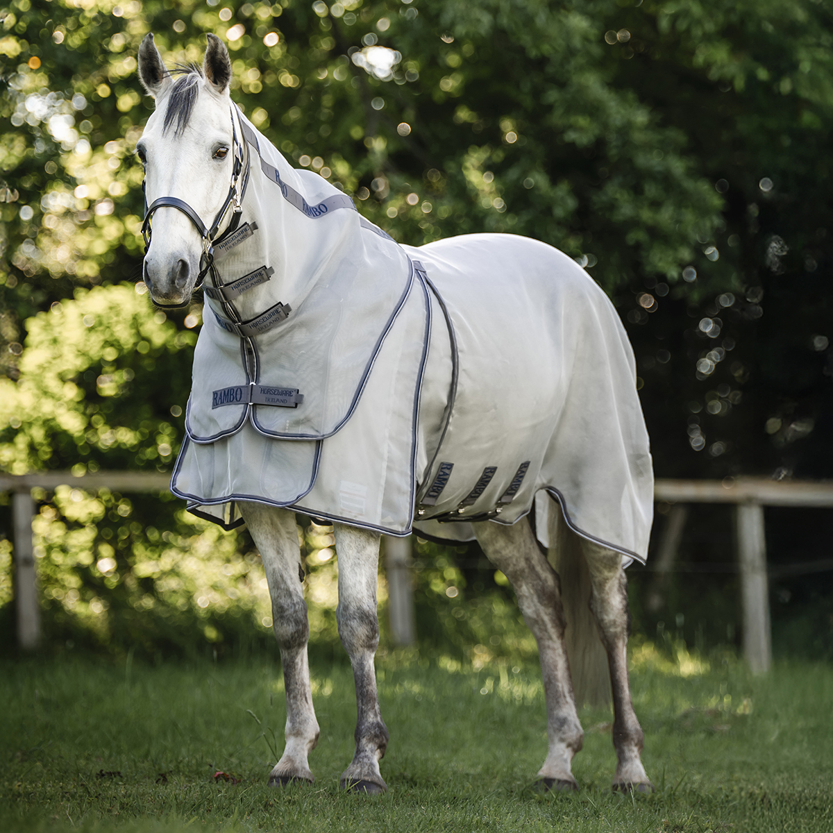 Rambo Optima Protector Plus Horse Fly Sheet with Detachable Hood ...